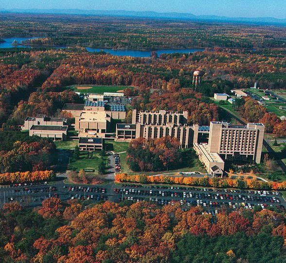 How Accurate Is 'Criminal Minds's Depiction Of Behavioral Analysts?