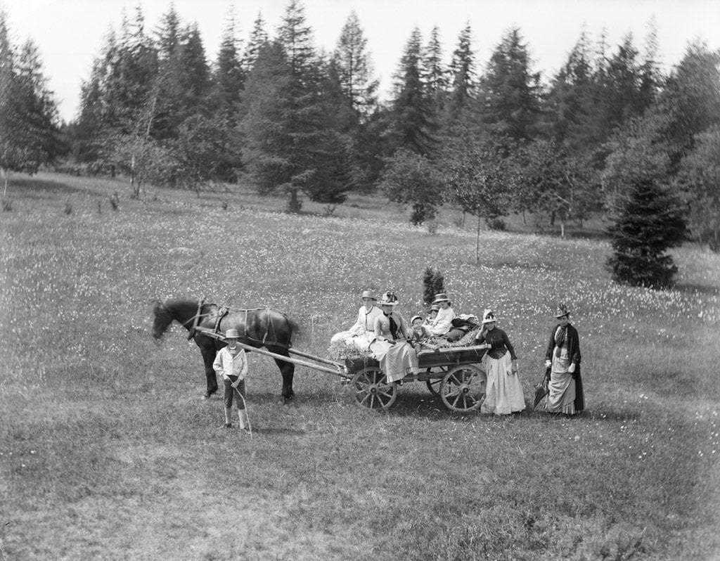 What Is Midsommar Festival?