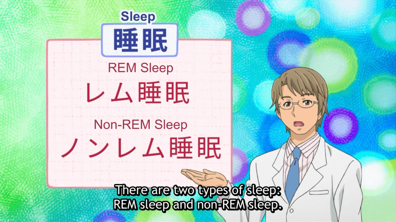 The 15 Best Anime About Science: Dr. Stone, Cells At Work, & More!