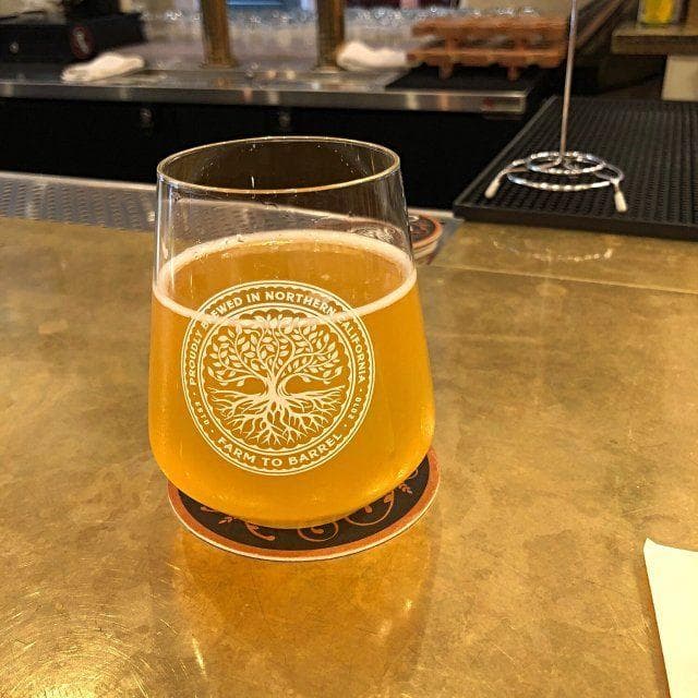 The 100 Top SF Beers You Have To Try, Ranked By Beer Lovers