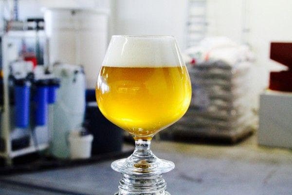 The 100 Top SF Beers You Have To Try, Ranked By Beer Lovers
