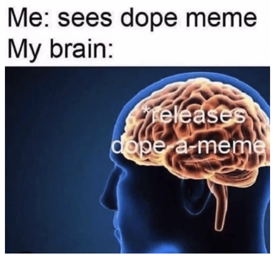 22 Funny Science Memes That Might Take A Second To Understand