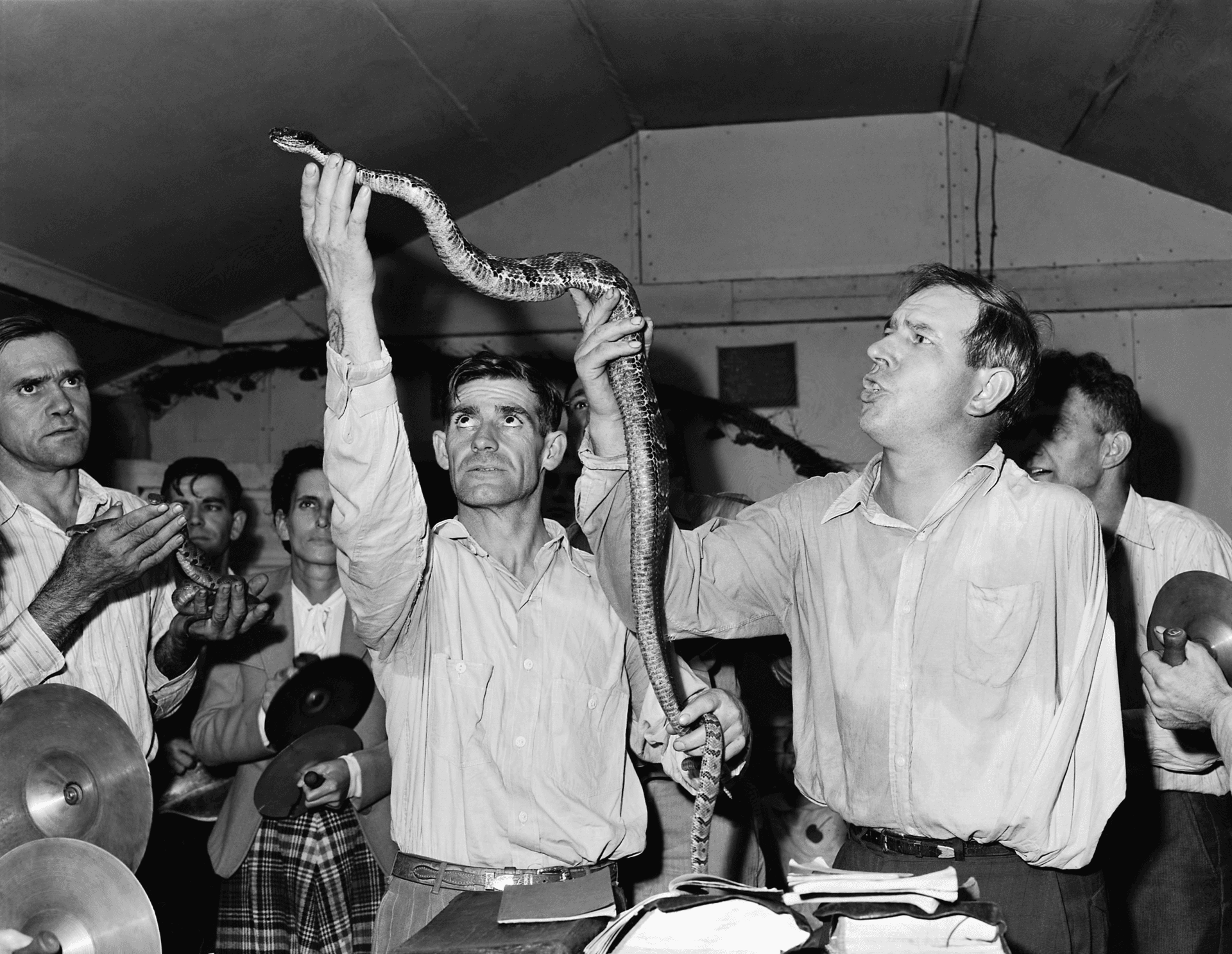 The History Of Pentecostal Snake Handling In The US: Why Do They Do It?