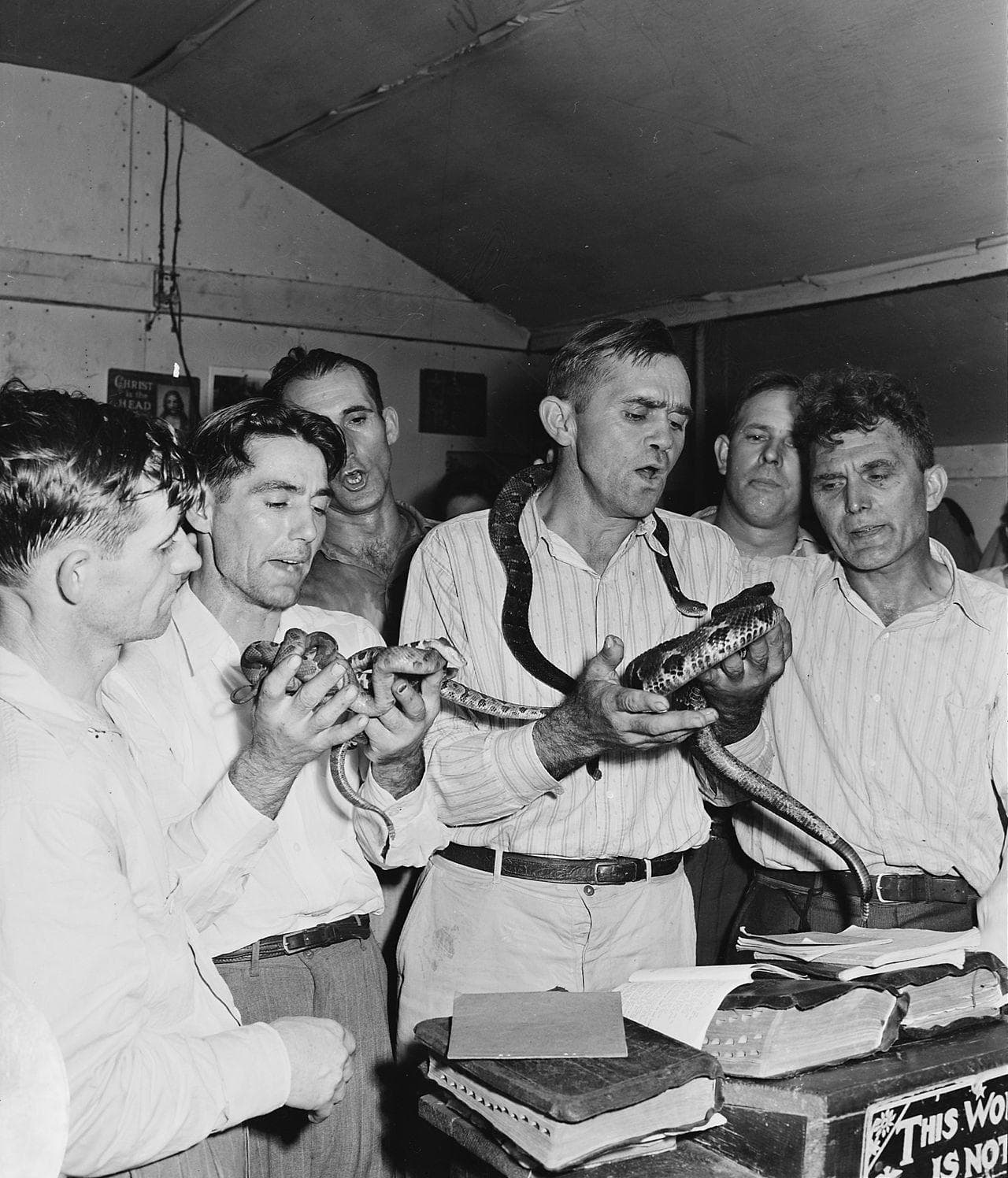 The History Of Pentecostal Snake Handling In The US: Why Do They Do It?