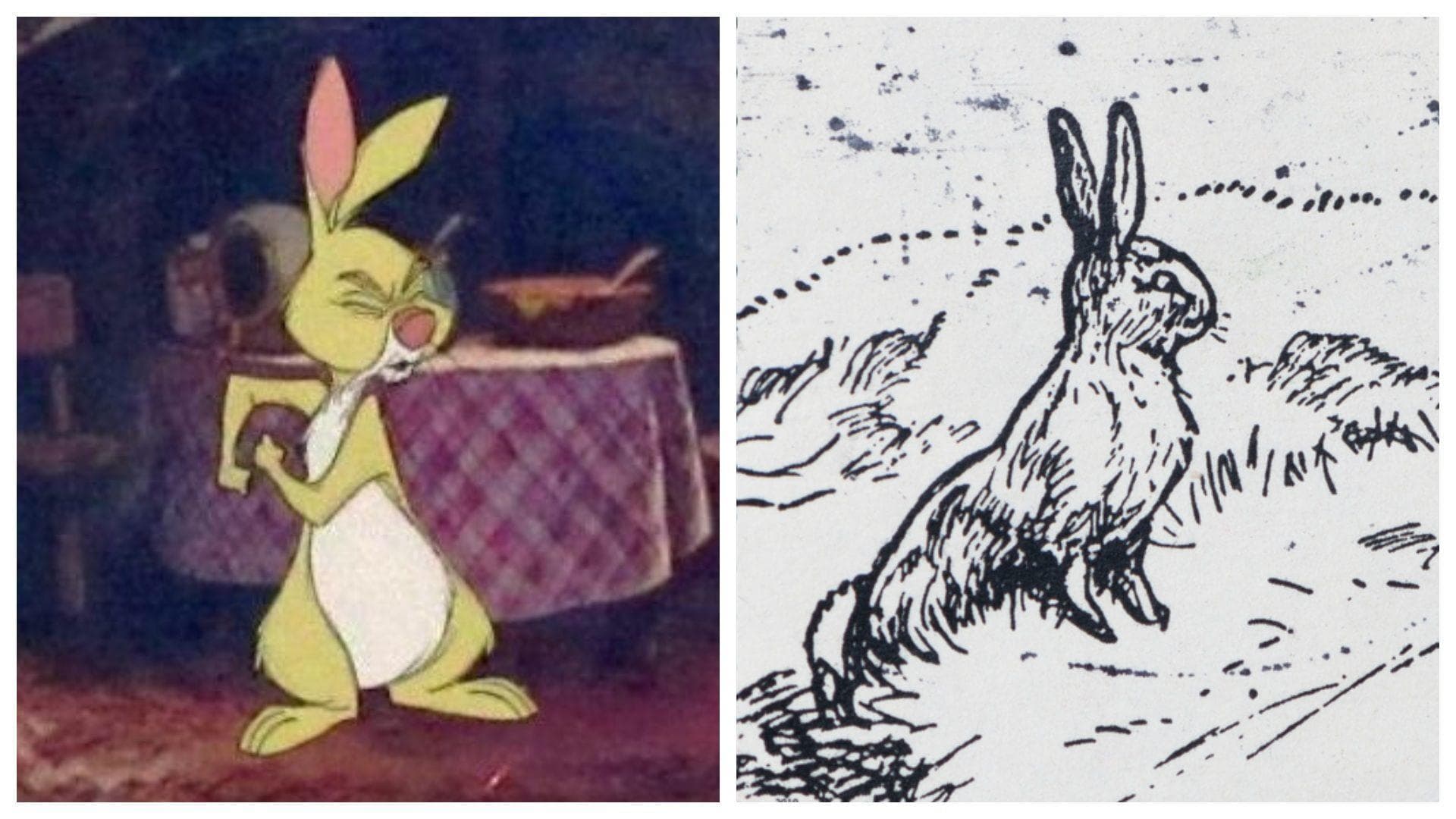 Winnie The Pooh Characters Rabbit
