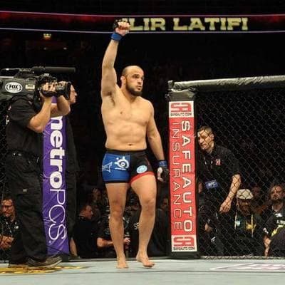 The Best Swedish UFC Fighters Of All Time, Ranked By Fans