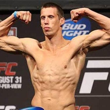 The Best Swedish UFC Fighters Of All Time, Ranked By Fans