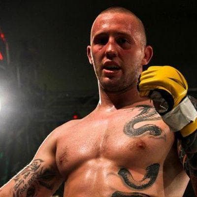 The Best Swedish UFC Fighters Of All Time, Ranked By Fans