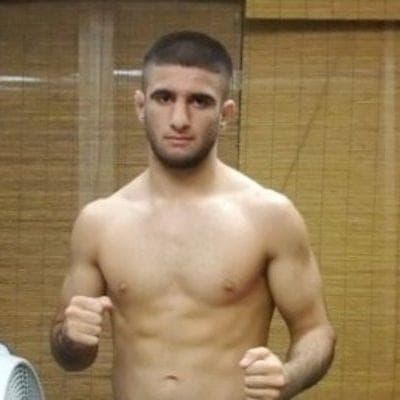 The Best Swedish UFC Fighters Of All Time, Ranked By Fans