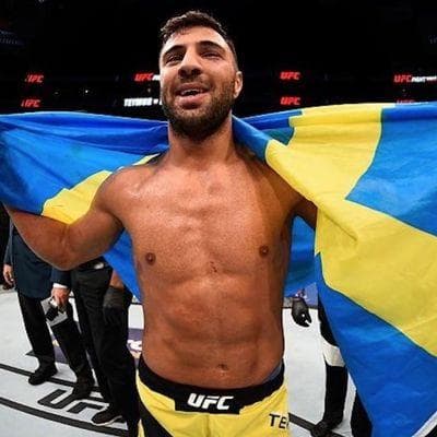 The Best Swedish UFC Fighters Of All Time, Ranked By Fans