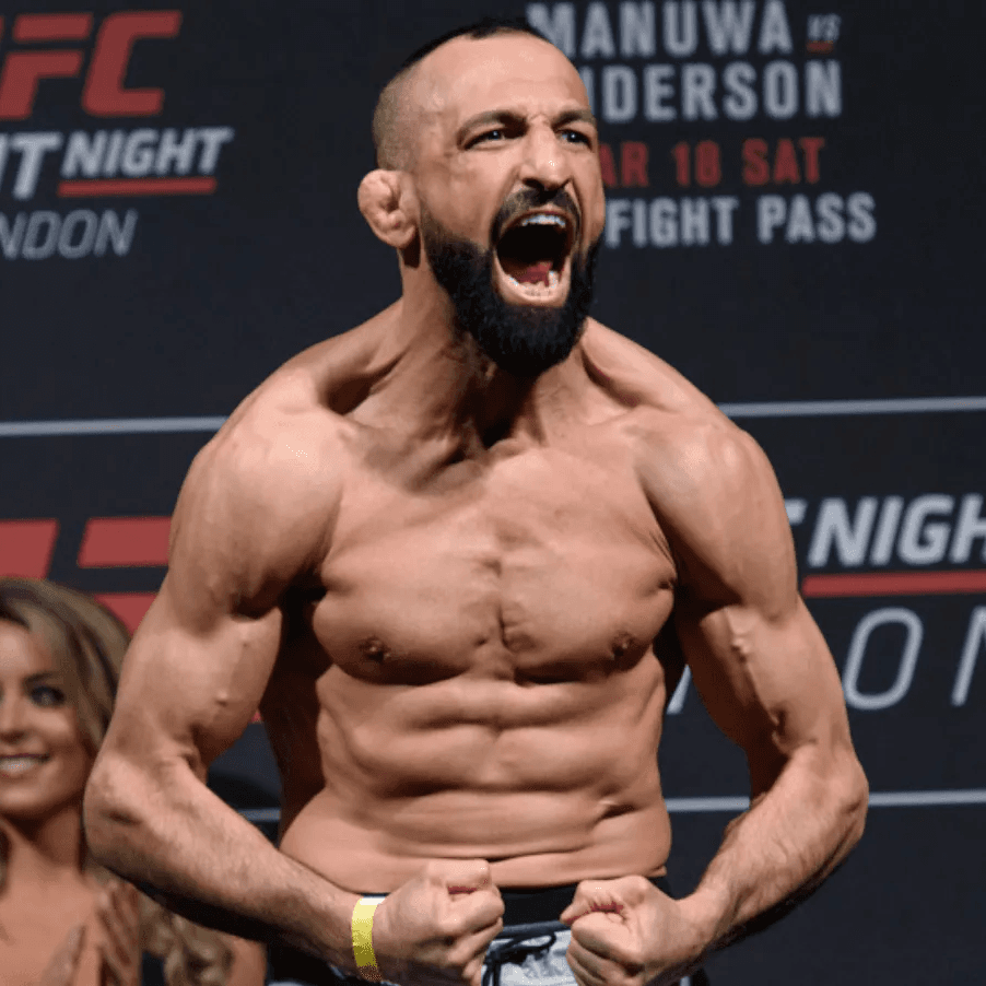 The Best Swedish UFC Fighters Of All Time, Ranked By Fans