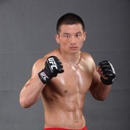 The Best Chinese UFC Fighters Of All Time, Ranked By Fans