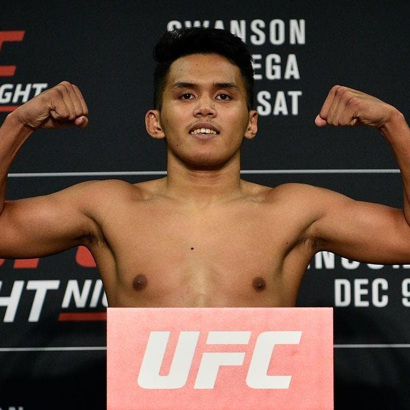 The Best Filipino UFC Fighters Of All Time, Ranked By Fans