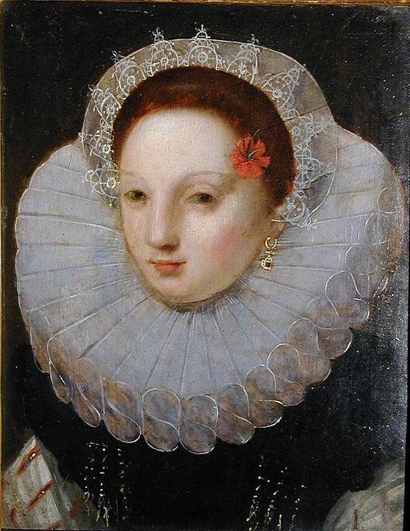 The History Of The Elizabethan Collar: A Fashion Statement And Status ...
