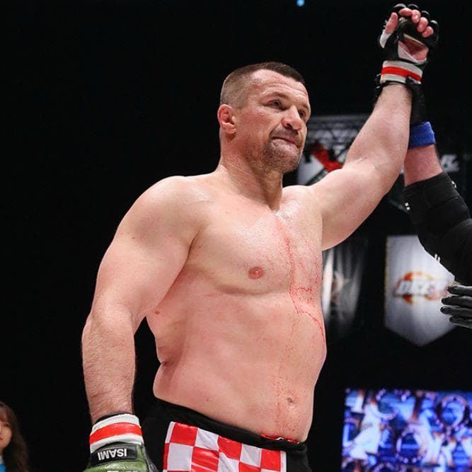 The Best Croatian UFC Fighters Of All Time, Ranked By Fans