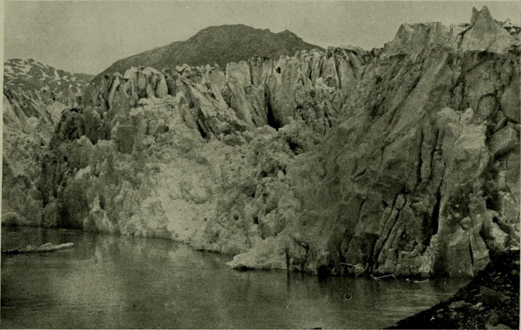 Haunting And Beautiful Photos From The 1909 North Pole Expedition