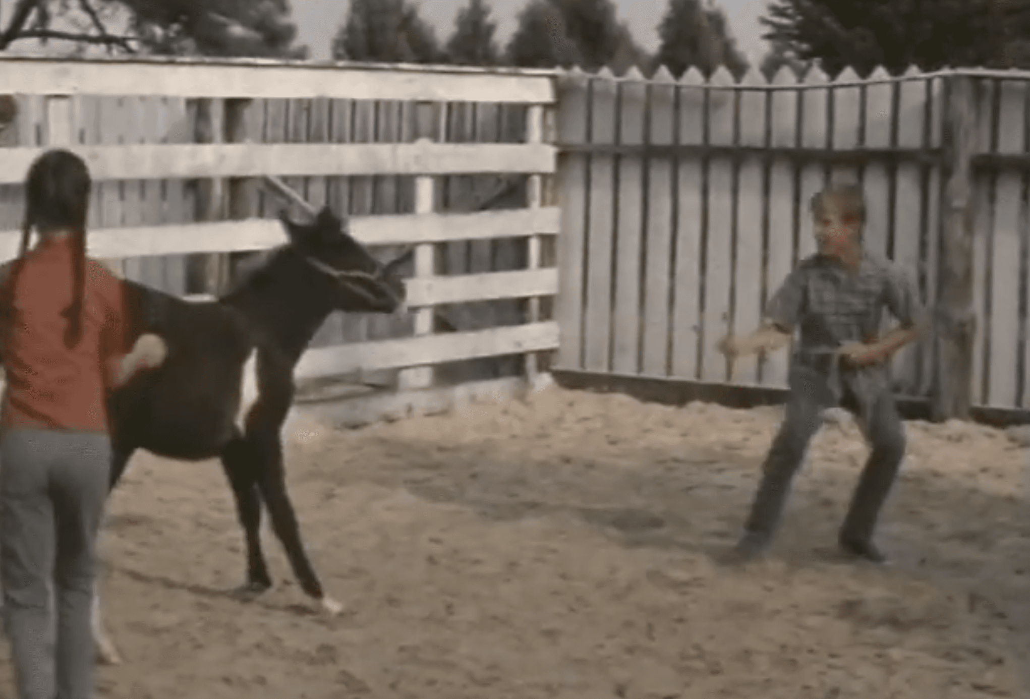 All About The True Story Behind ‘Misty of Chincoteague’