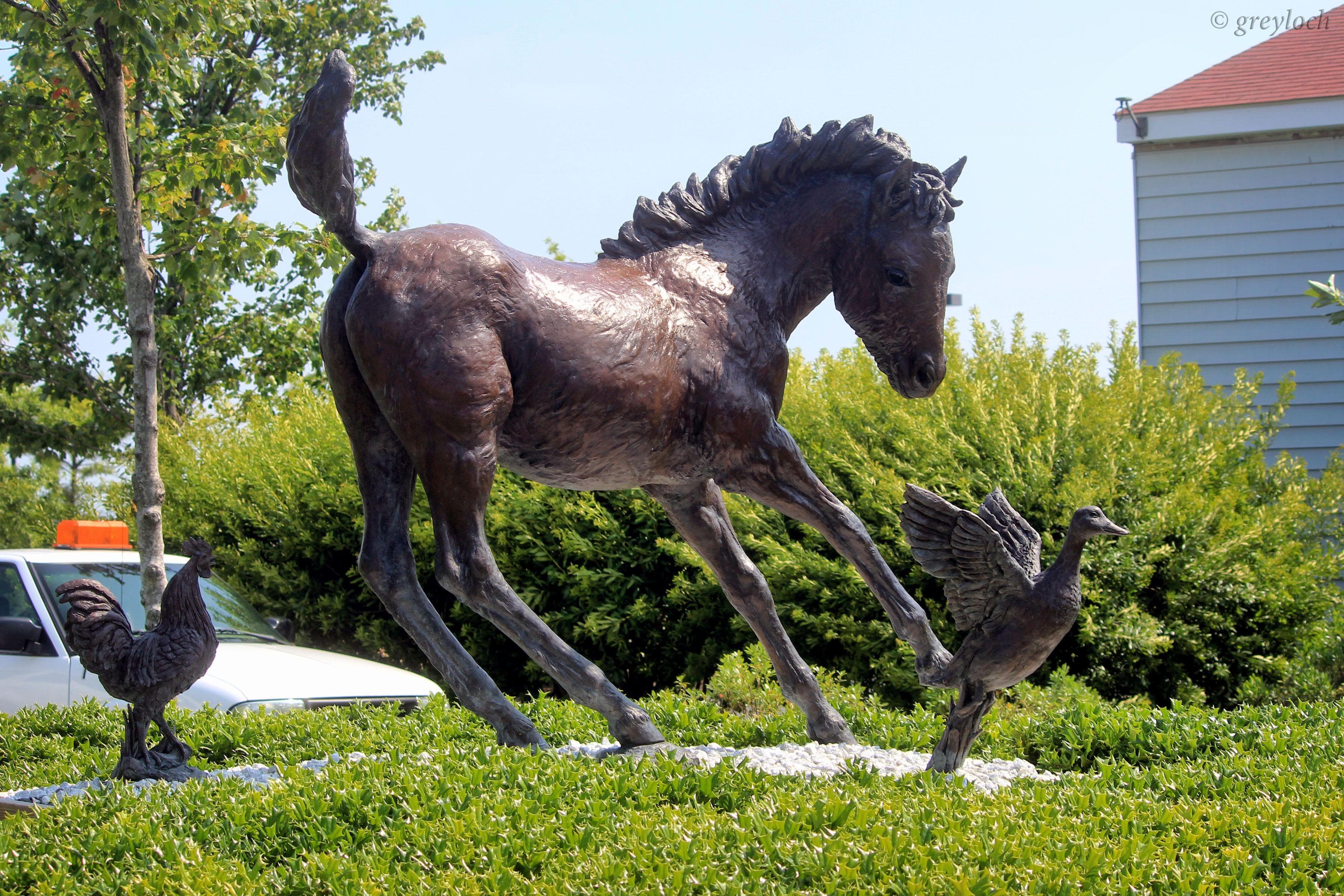 All About The True Story Behind ‘Misty of Chincoteague’