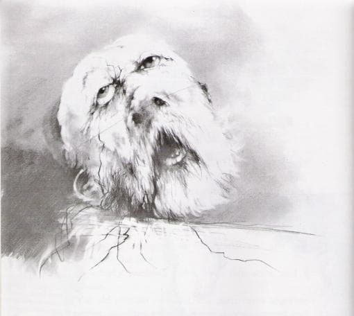 The Urban Legends That Inspired ‘Scary Stories To Tell In The Dark’