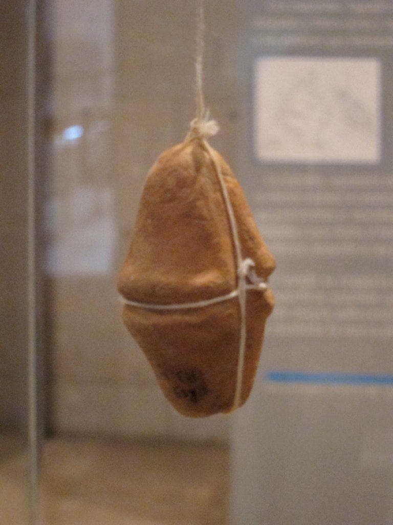 How & Why Did The Mayans Build Pyramids?