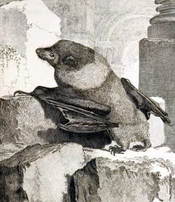 Extinct Animals: List of Mammals That Have Gone Extinct