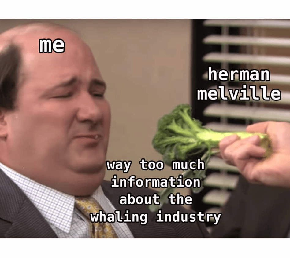 The Funniest SparkNotes Memes Only A True Lit Nerd Will Get