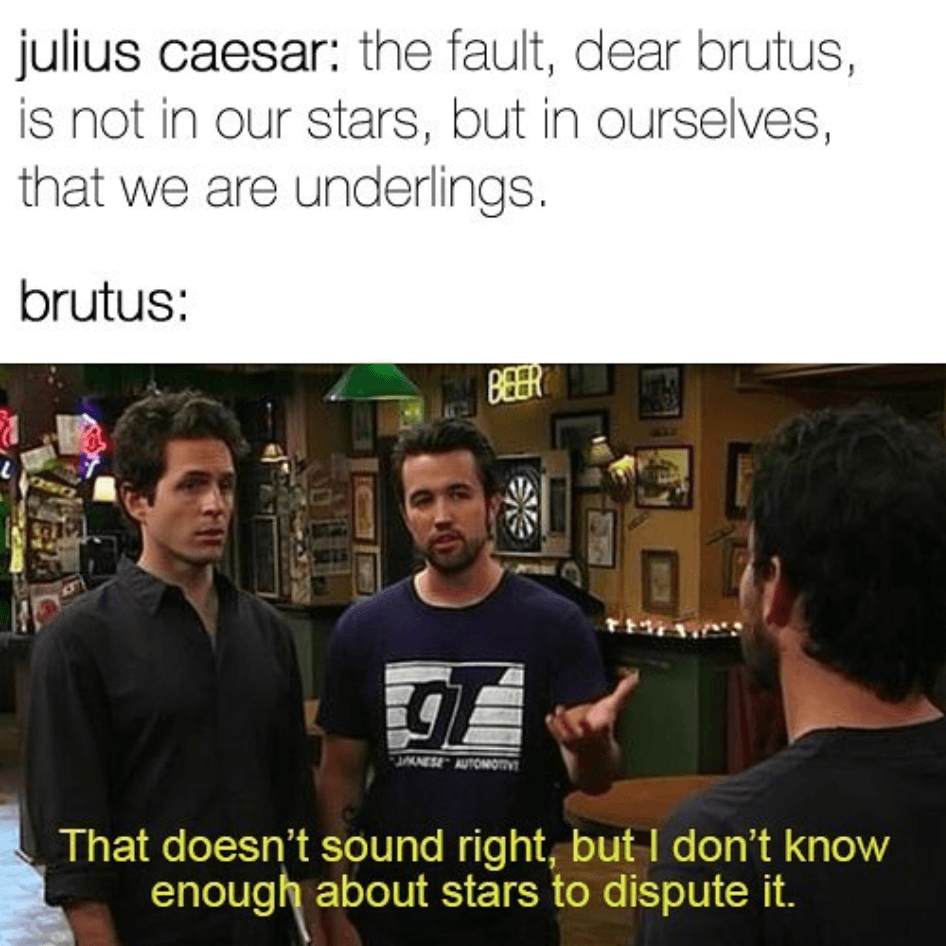 The Funniest SparkNotes Memes Only A True Lit Nerd Will Get