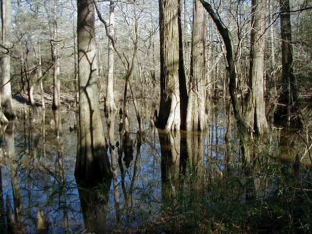 Most Haunted Roads In The US