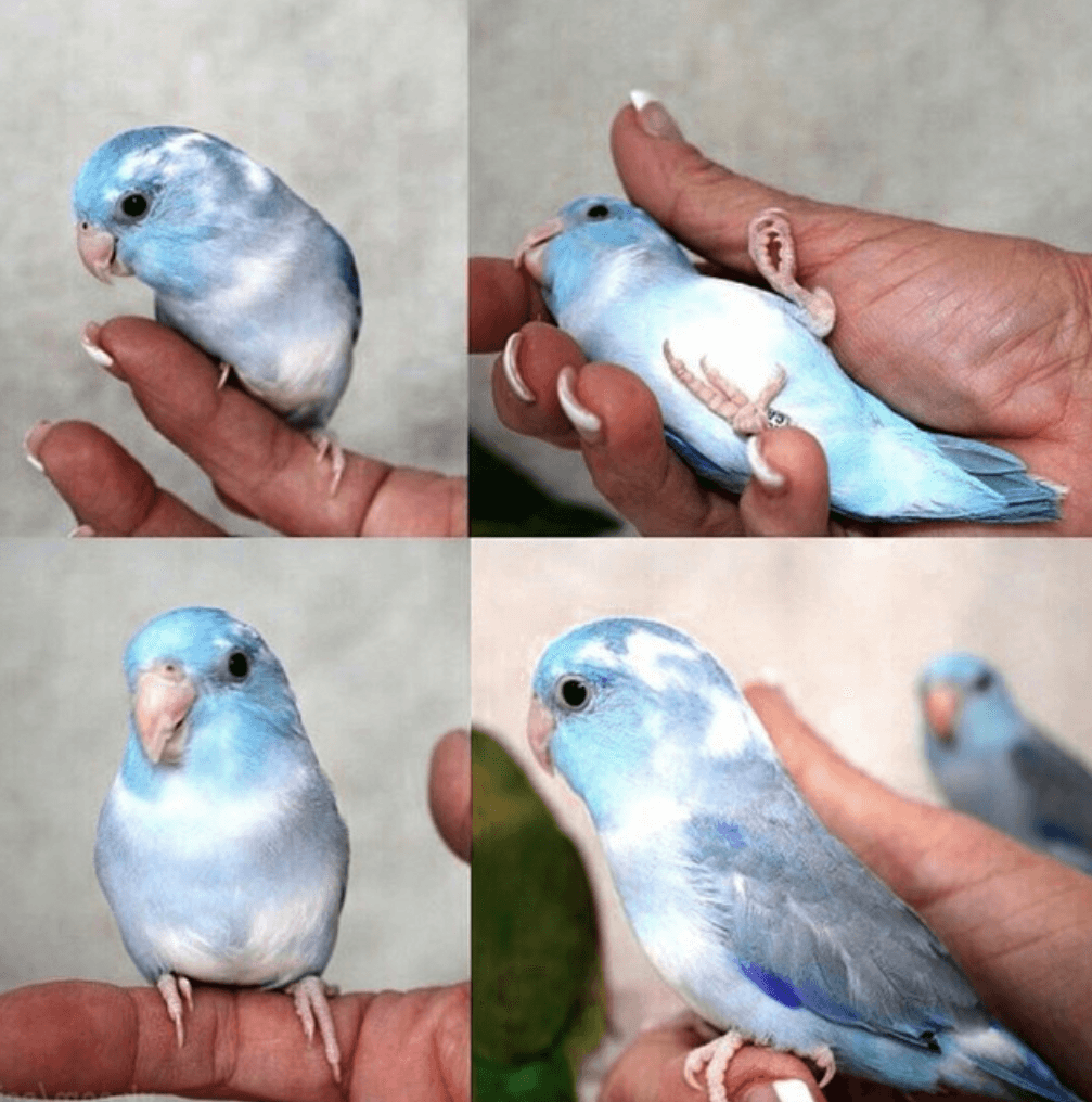 20 Interesting Pictures That Will Make You Say 'Huh'