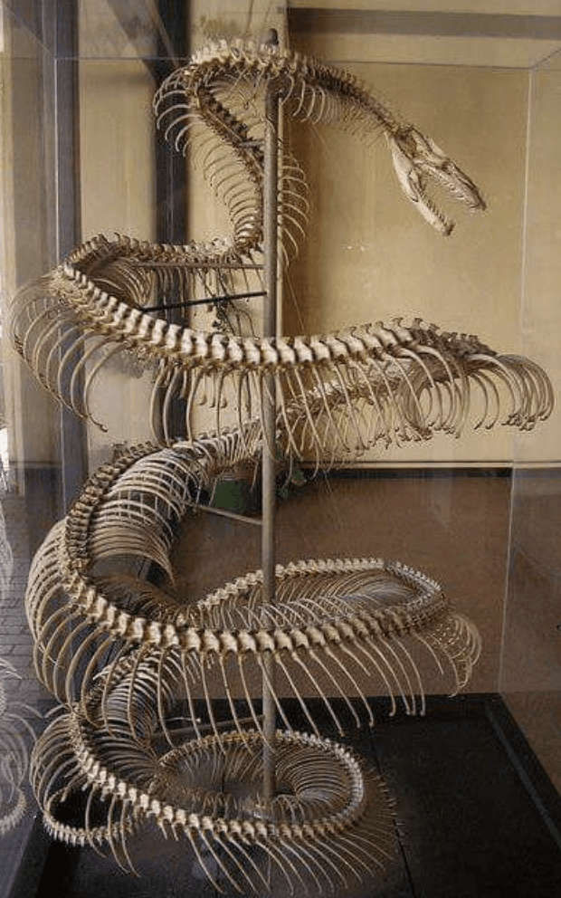 20 Interesting Pictures That Will Make You Say 'Huh'