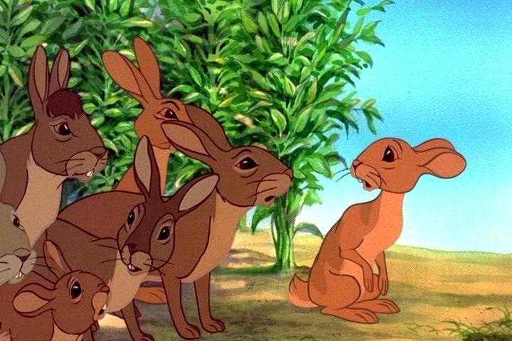 The 'Watership Down' Movie's Scary, Intense Scenes, Ranked By Fans