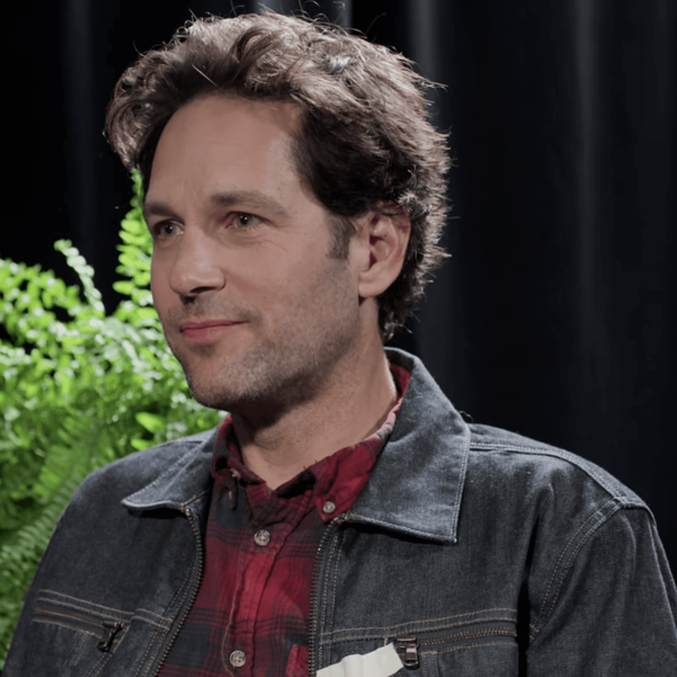 The Funniest Quotes From 'Between Two Ferns: The Movie'