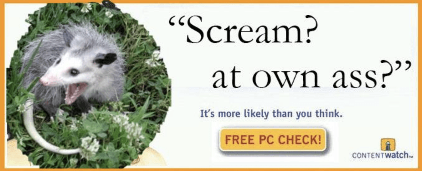 20 Funny Possum Memes, Ranked