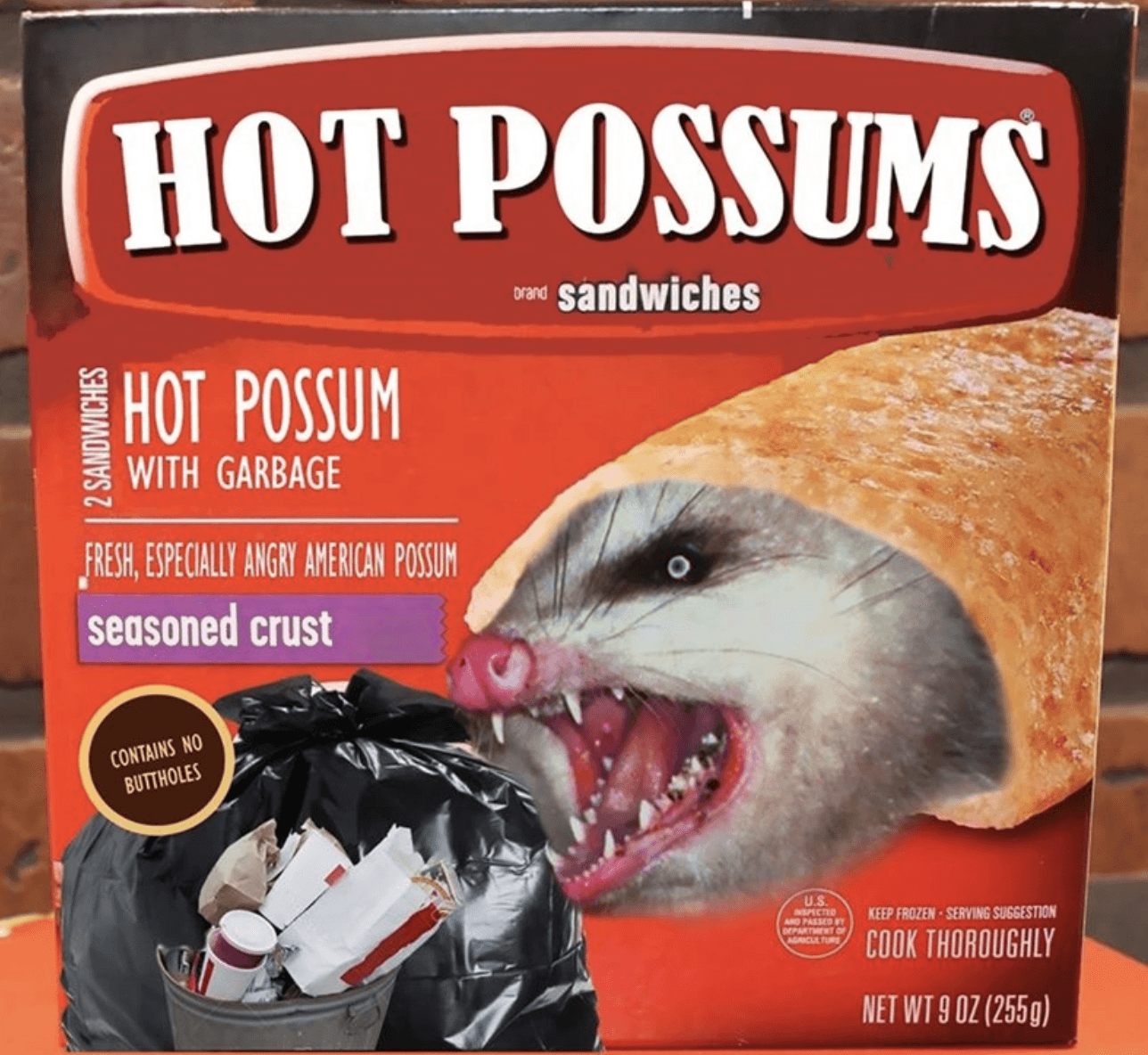 20 Funny Possum Memes, Ranked