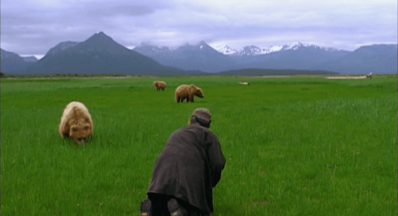 What Happened To Grizzly Man Timothy Treadwell?