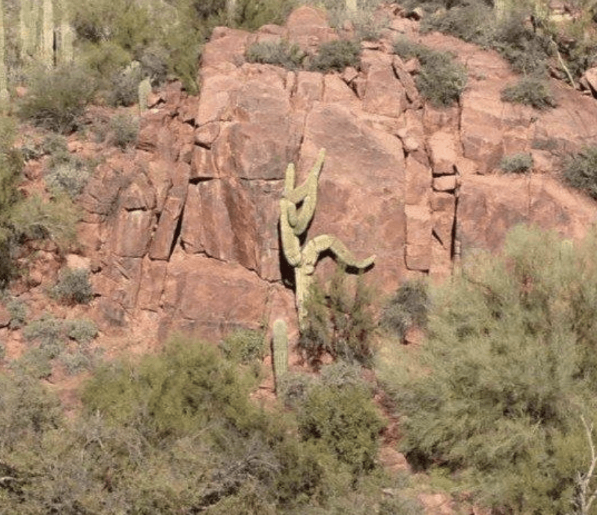 We Found 16 Random Pictures From The Internet That Are Weirdly Fascinating