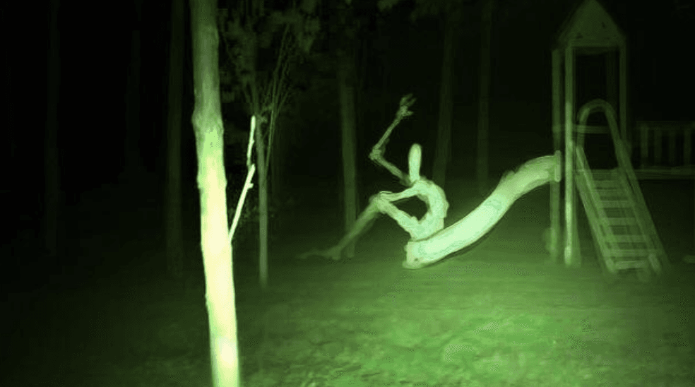 19 Random Images That Will Haunt Your Dreams (Seriously, They're ...