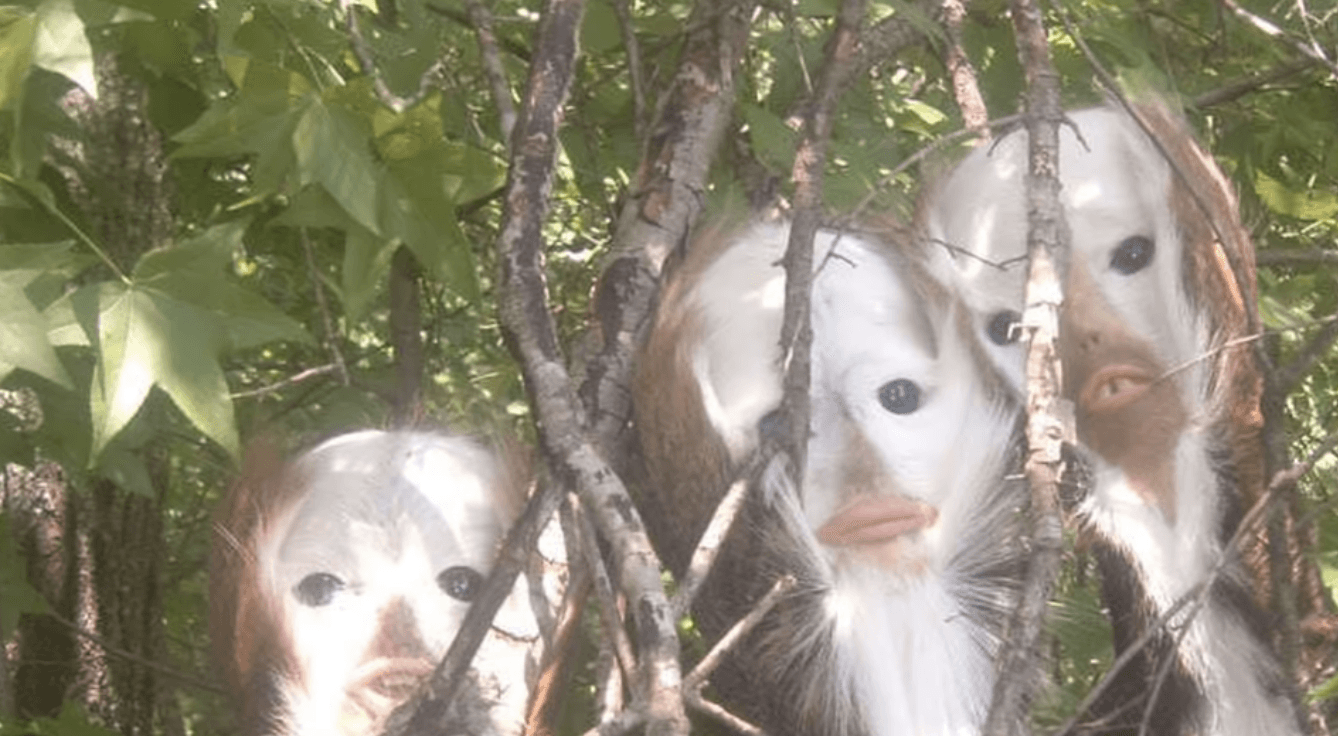 19 Random Images That Will Haunt Your Dreams (Seriously, They're ...