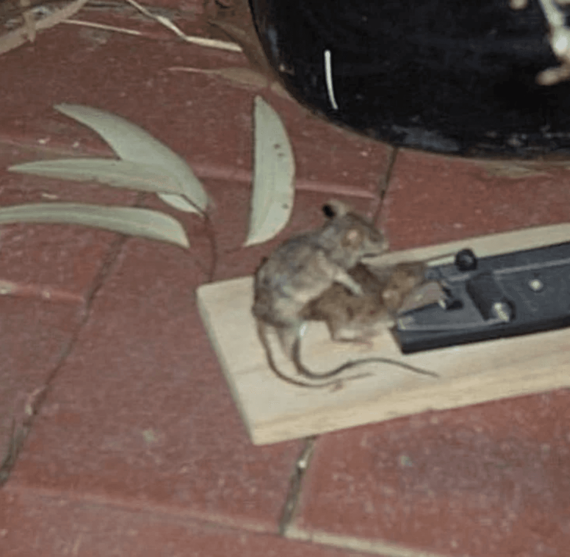 These Pics Feel Very Wrong, But We're Not Sure Exactly Why