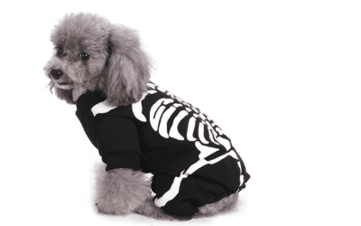 Hellhound Dog Costume