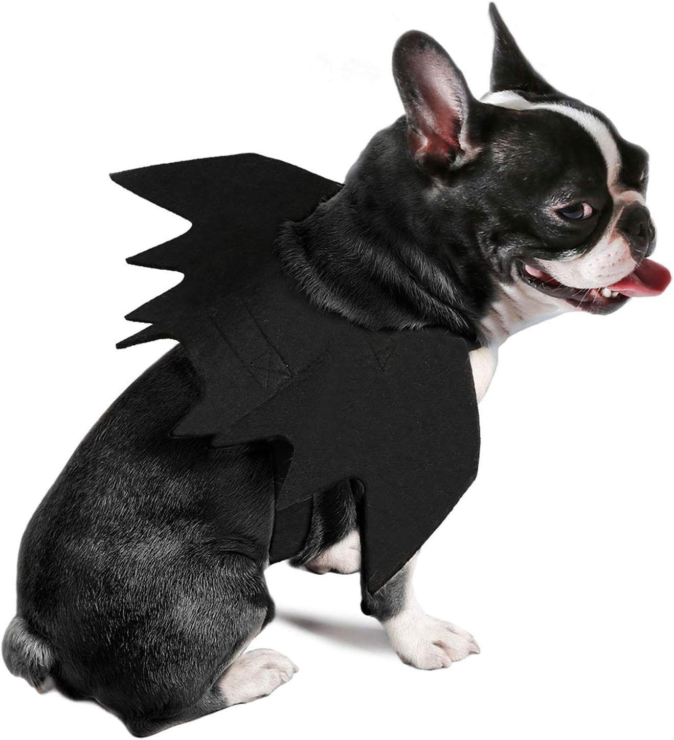 The Best Scary Halloween Costumes For Dogs, Ranked