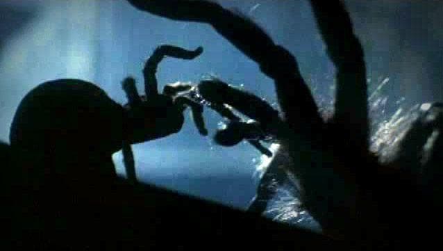 'Arachnophobia' Movie's Spiders Are The Scariest Horror Creatures