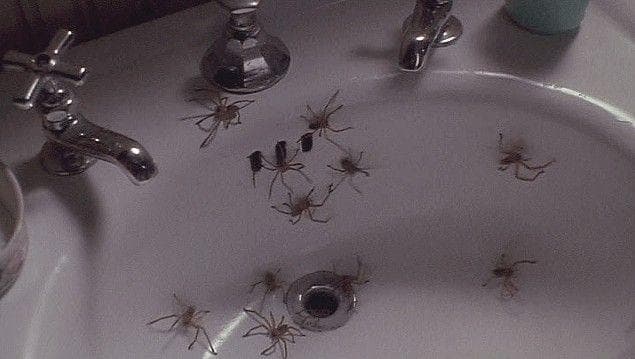 'Arachnophobia' Movie's Spiders Are The Scariest Horror Creatures