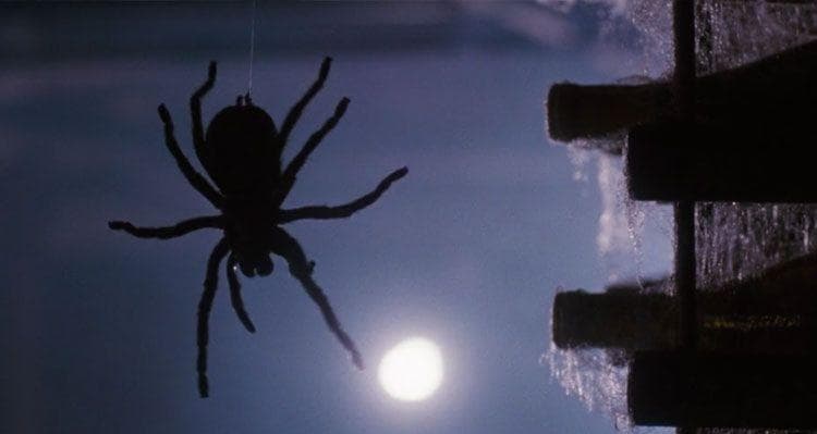 'Arachnophobia' Movie's Spiders Are The Scariest Horror Creatures