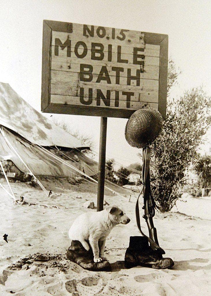 What Was Hygiene Like For US Soldiers In WWII?