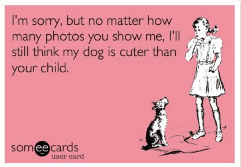 25 Memes For People Who Prefer Dogs Over Children
