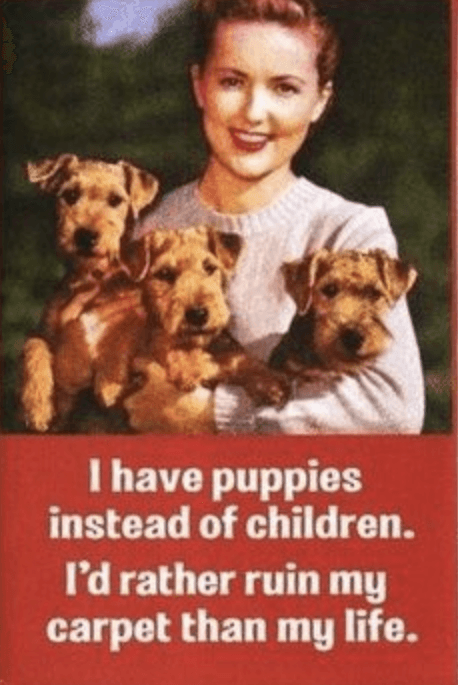 25 Memes For People Who Prefer Dogs Over Children
