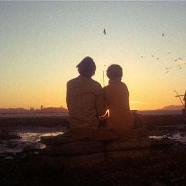 The Best 'Harold and Maude' Quotes, Ranked By Fans