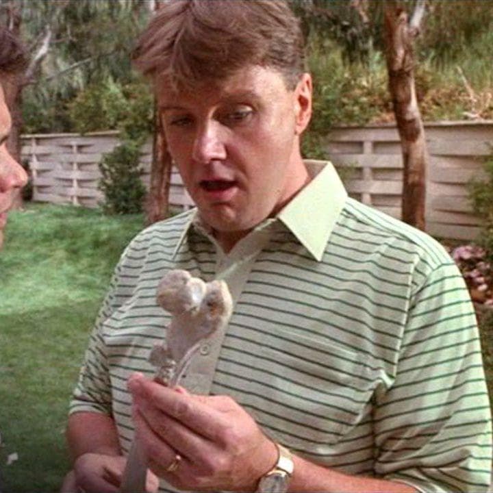 The Best 'The 'Burbs' Quotes, Ranked By Fans