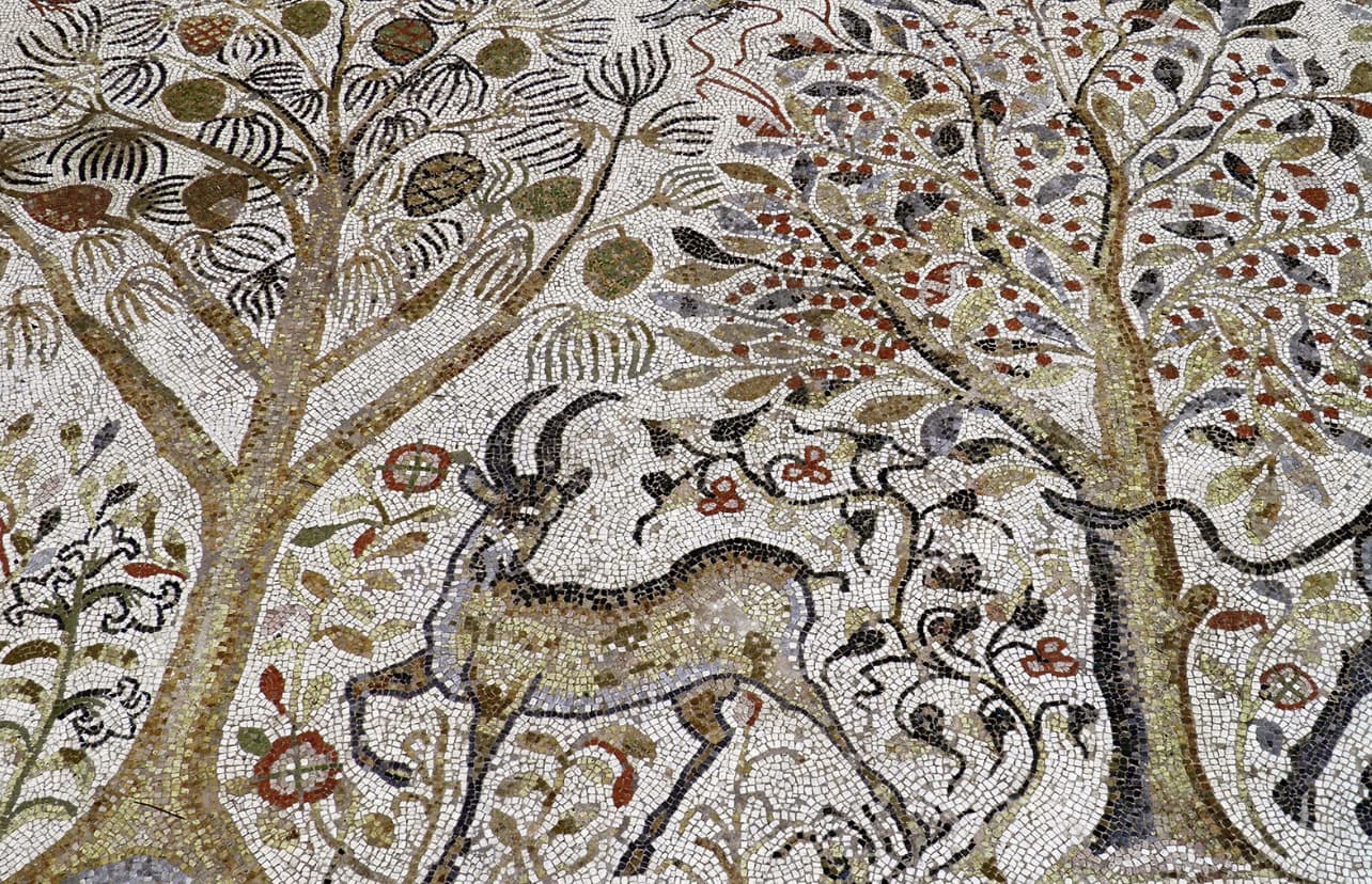 How Did Humans Survive 536 AD, The Worst Year In History For Humankind?